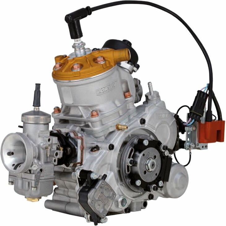 VORTEX ROK GP Motor Senior mit Zubehör: | Vortex | Motoren | TS24 Kartshop